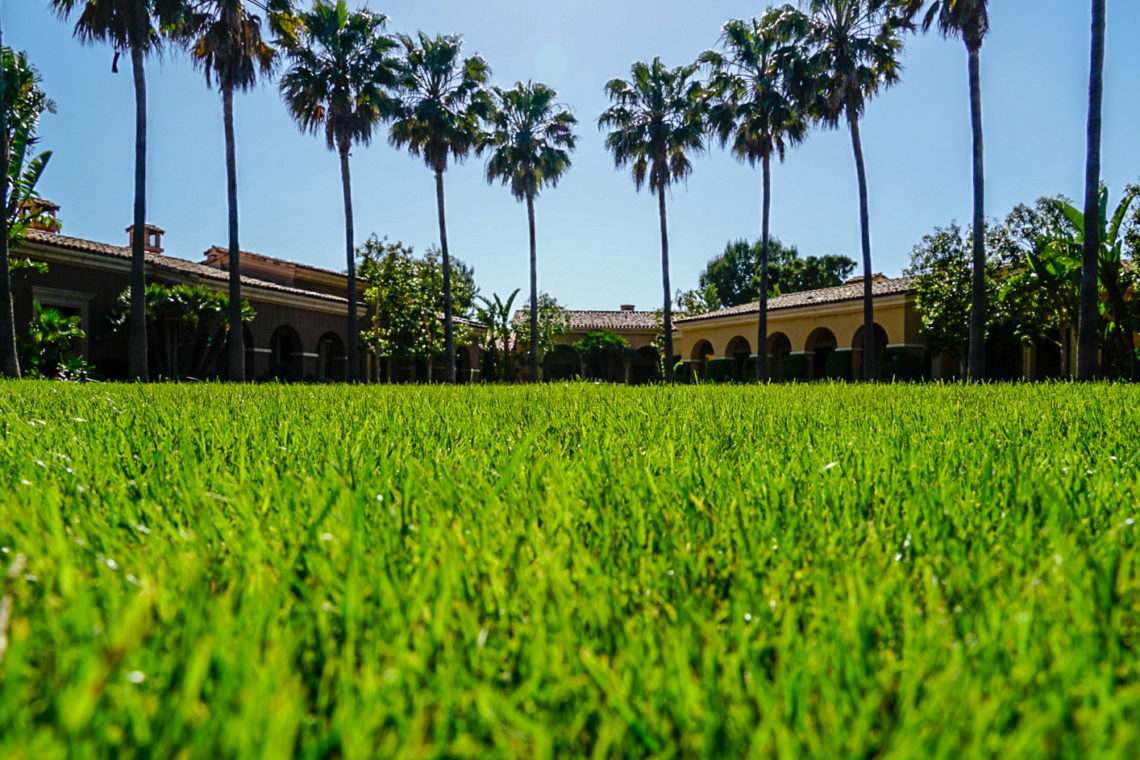Summary of Services Available - Sequoia Environmental Services